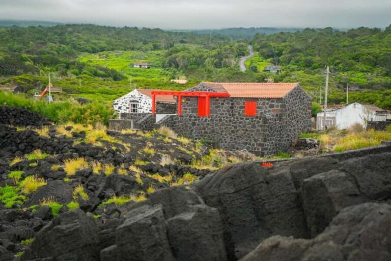 Pico Island: Wine and Vineyards Tour with Tasting - Practicalities and Value