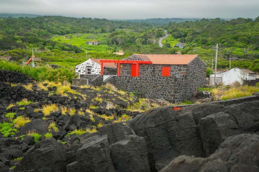 Pico Island: Wine and Vineyards Tour with Tasting - Practicalities and Value