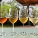 Pitigliano: Ciliegiolo Grape Wine Tasting - Final Thoughts