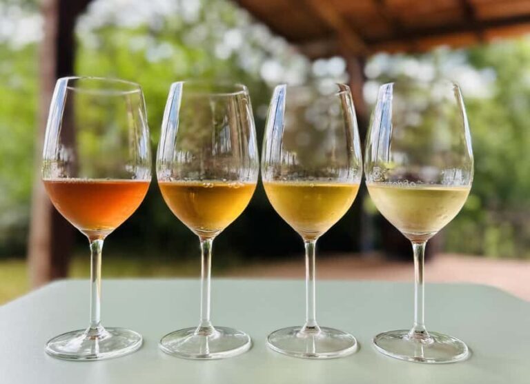Pitigliano: Ciliegiolo Grape Wine Tasting - Final Thoughts