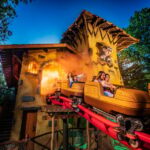 Plopsaland Ardennes - Theme Park - Entry Ticket - Who Should Visit?