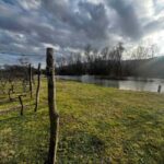 Podgorica: Panoramic Wine Tasting & Snack - FAQs