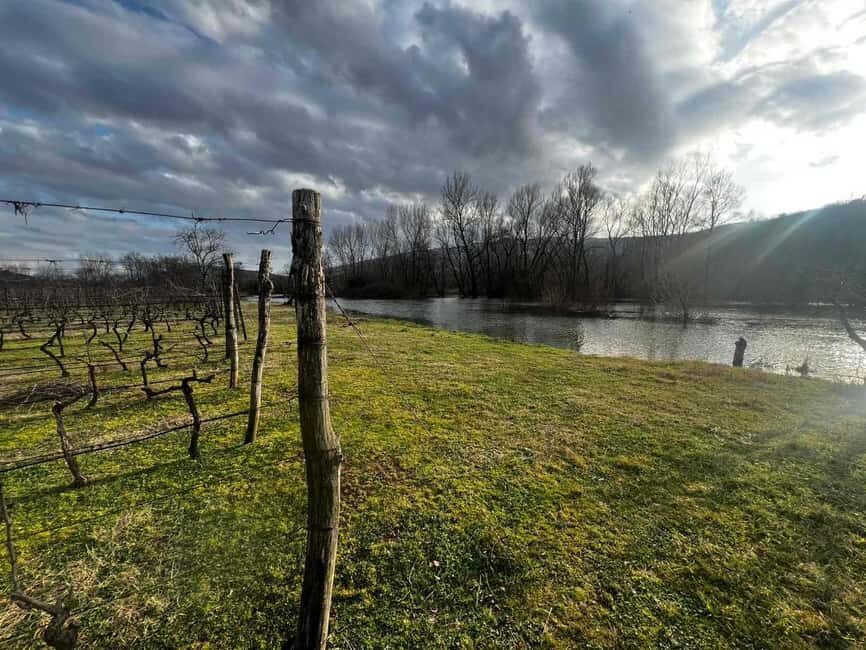 Podgorica: Panoramic Wine Tasting & Snack - FAQs