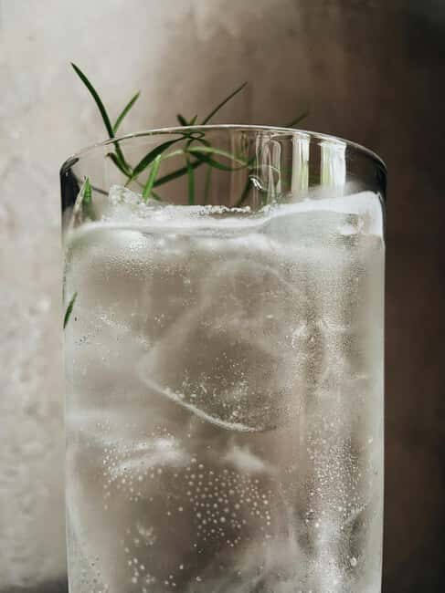 Polish Gin Tasting Tour in Gdansk - Final Thoughts