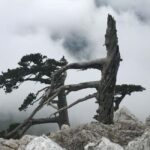 Pollino Hiking - day trips in the Pollino National Park - Authentic Experiences and Traveler Insights