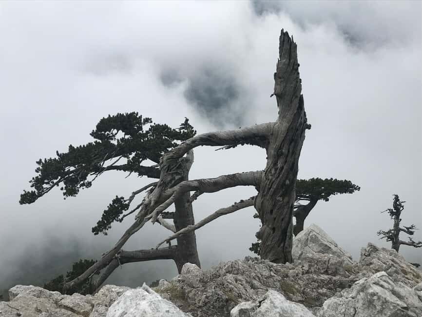 Pollino Hiking - day trips in the Pollino National Park - Authentic Experiences and Traveler Insights