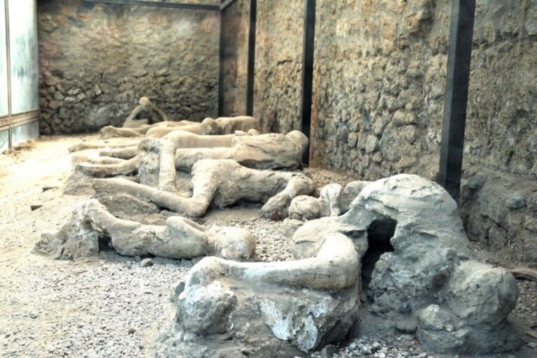 Pompeii: Entry Ticket with Audio Guide - Navigating Practicalities