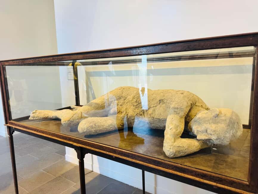 Pompeii: experience with a real archaeologist in a small group - Detailed Breakdown of the Experience