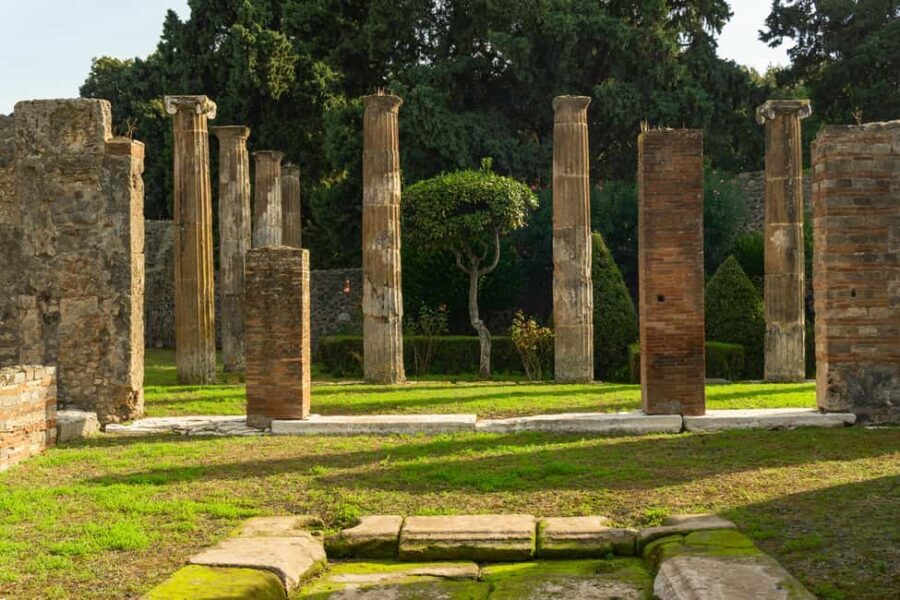 Pompeii: Skip-the-line Entry Ticket with Guided Tour and Transportation - Detailed Breakdown of the Experience