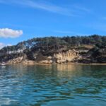 Poole Harbor: 2, 3, 4, 6, or 8-Hour Boat Rental Service - Highlights of the Experience