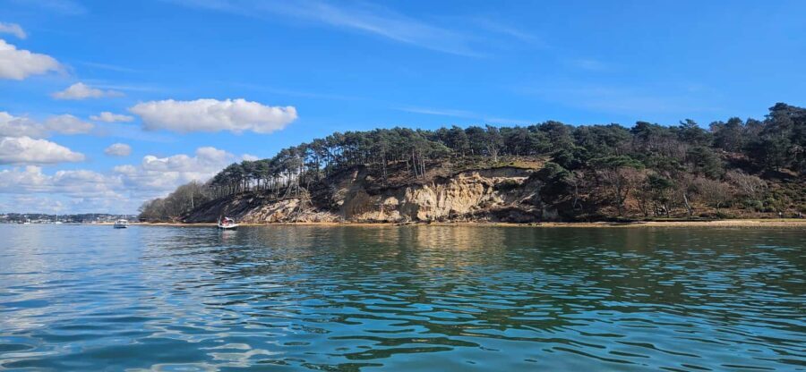 Poole Harbor: 2, 3, 4, 6, or 8-Hour Boat Rental Service - Highlights of the Experience