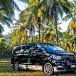 Port Douglas to Cairns ONE WAY Private Transfer 6 pax - The Itinerary: What to Expect