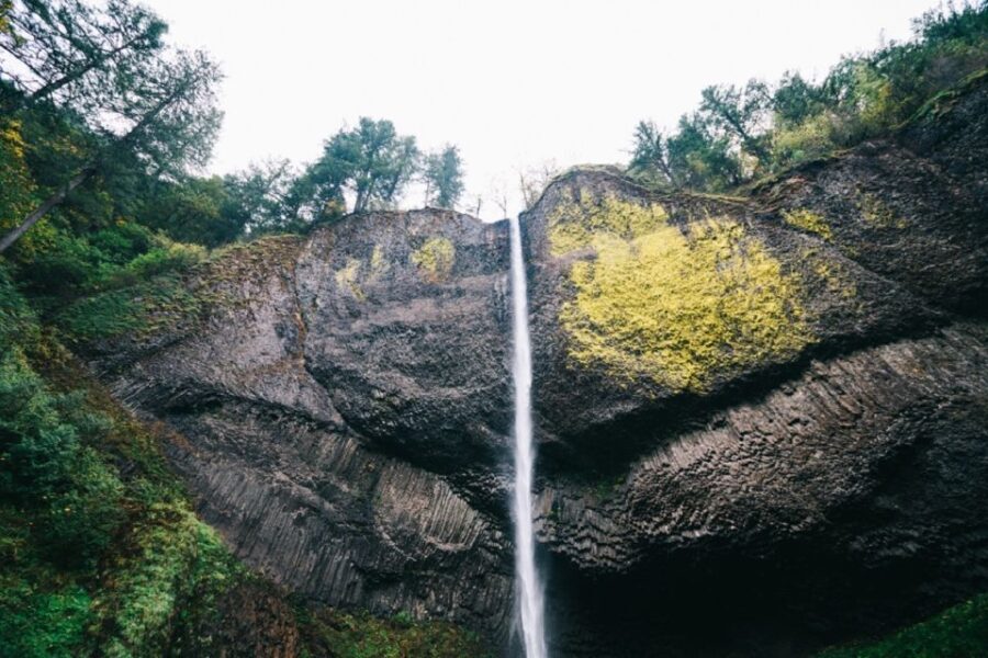 Portland: Columbia River Gorge Waterfalls Afternoon Tour - What Makes This Tour Stand Out