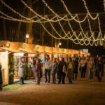 Porto: Christmas Lights Private & Flexible Walking Tour - Key Points
