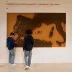 Porto: Cork Museum: Immersive and Perfect for Families - Who Will Love This Museum?