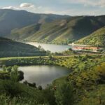 Porto: Douro Valley 2 Wineries, Tastings, Lunch & Boat Tour - Authenticity and Value: What We Think