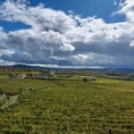 Porto: Douro Valley Tour by Private Car - What Travelers Say About This Tour