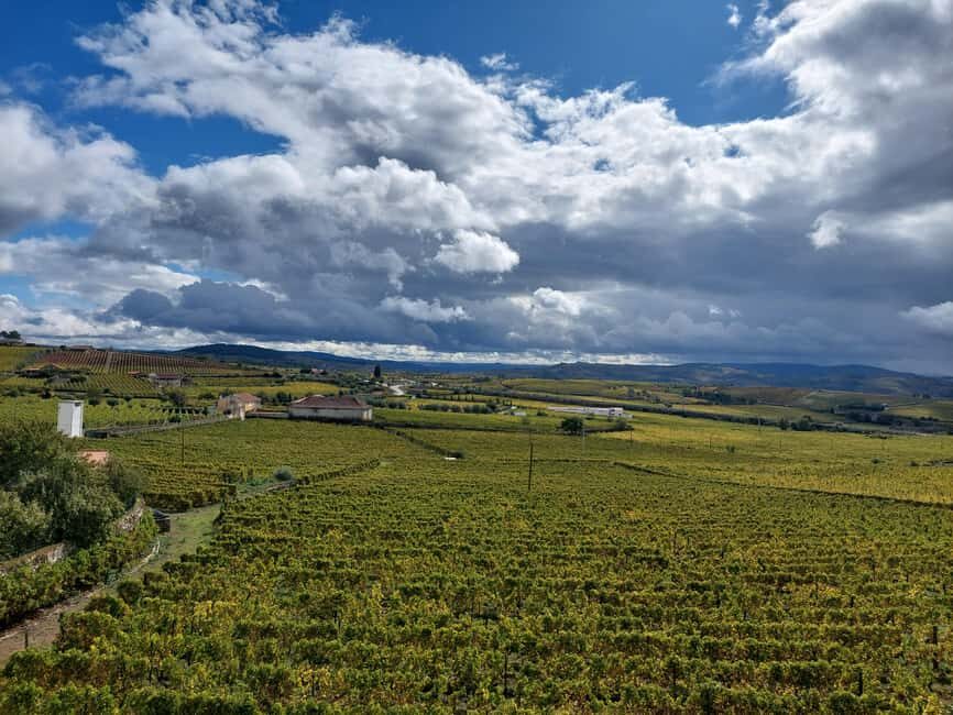 Porto: Douro Valley Tour by Private Car - What Travelers Say About This Tour