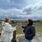 Porto: Green Wine Tasting and visit - The Value and Who Should Consider This Tour