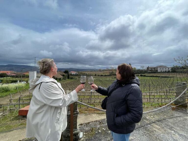 Porto: Green Wine Tasting and visit - The Value and Who Should Consider This Tour