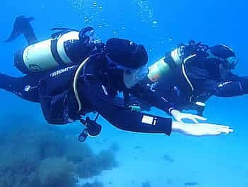 Porto: My first Scuba Dive in the Ocean - Why This Tour Matters for Travelers