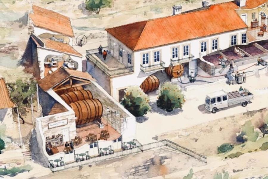 Porto: premium tasting wine tour at Fonseca cellars - Who Is This Tour Best For?