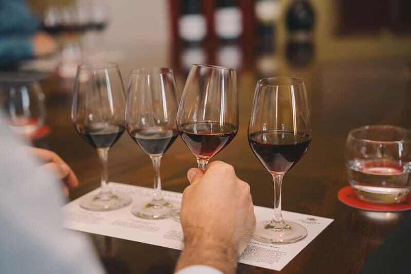 Porto: Prestige Tour & Vintage Premium Tasting at Taylor's - Who Will Love This Tour?