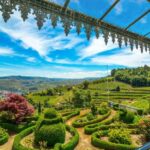 Porto: Private Cultural Lunch & Wine Tasting at Douro Valley - What Makes This Tour Special?
