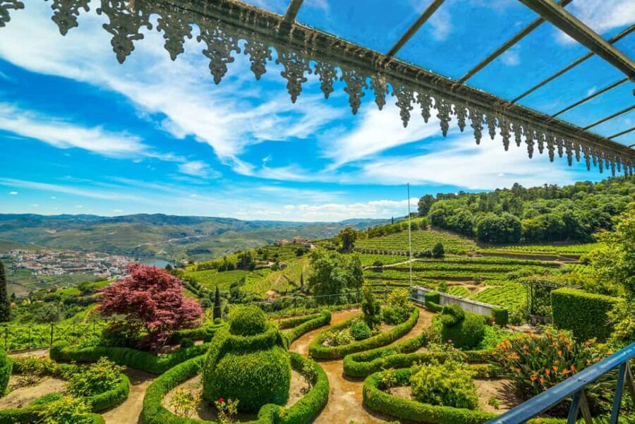 Porto: Private Cultural Lunch & Wine Tasting at Douro Valley - What Makes This Tour Special?
