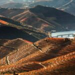 Porto: Private tour of the Douro Valley and schist village. Exclusive program - What to Expect in Practical Terms