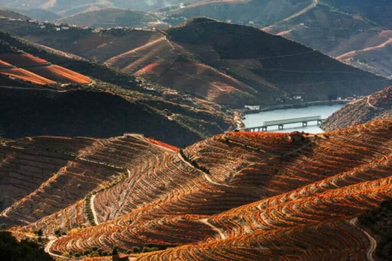 Porto: Private tour of the Douro Valley and schist village. Exclusive program - What to Expect in Practical Terms