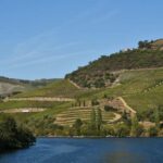 Porto/Régua/Porto Downstream - Practical Details and Value