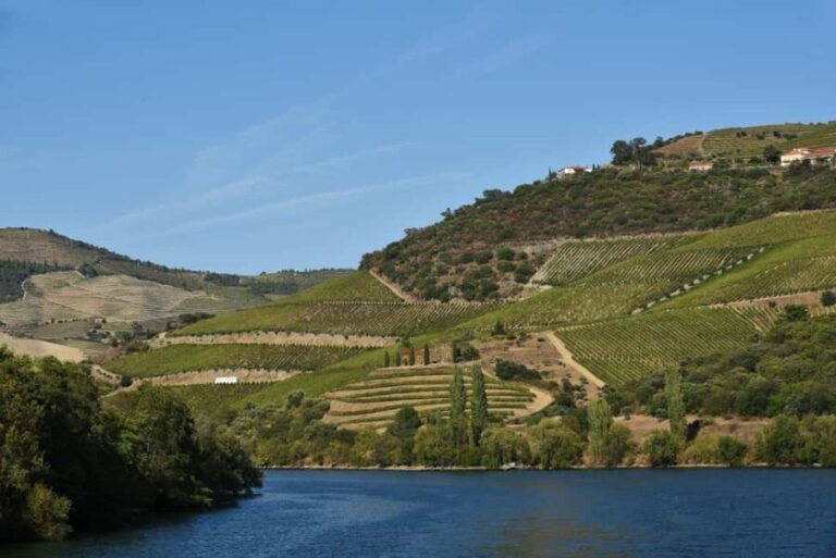 Porto/Régua/Porto Downstream - Practical Details and Value