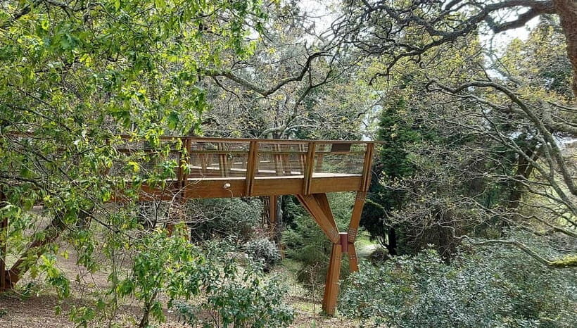 Porto: Serralves Gardens Art and Architecture Walking Tour - Who Will Enjoy This Tour?