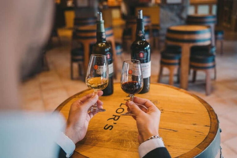 Porto: Taylors Port Cellar Tour & WOW The Wine Experience - The Flow of the Day