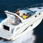 Private boat tour (2h) - The Itinerary: What You Can Expect