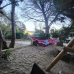 Private Boat Tour Tailor-Made 6h-All Inclusive - Discovering the Elaphiti Islands: A Closer Look