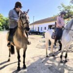 Private Day Tour Tagus River, olive oil, winery and horses - Practical Considerations & Value