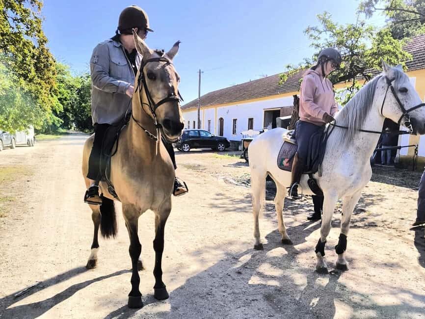 Private Day Tour Tagus River, olive oil, winery and horses - Practical Considerations & Value