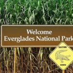 Private Everglades Tour:Explore the Beauty of the Everglades - FAQ