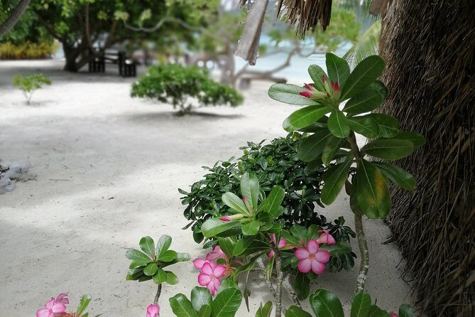 PRIVATE FULL DAY LAGOON TOUR - Bora Bora Cultural Lagoon Tour - Authentic Experiences That Leave Lasting Impressions