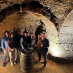 Private La Rioja Day: Visit 2 Premium Wineries with lunch. - Who Is This Tour Best For?
