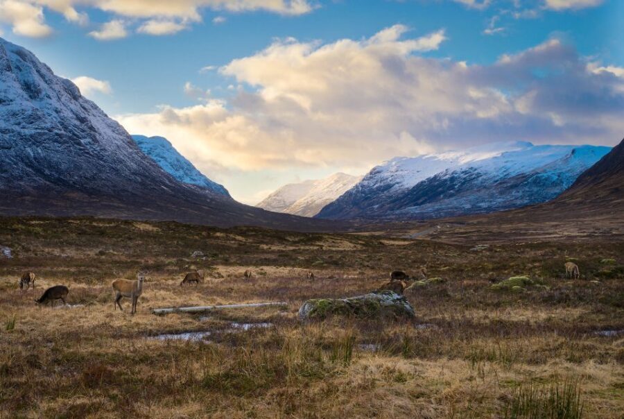 Private Photography Tour in Edinburgh - A Detailed Look at the Itinerary