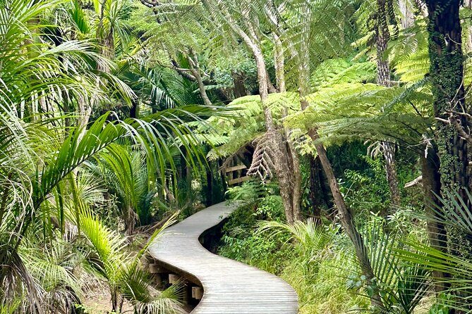 Private Piha Beach, Rainforest Adventure & Mt. Eden with Guide - Who This Tour Is Best For