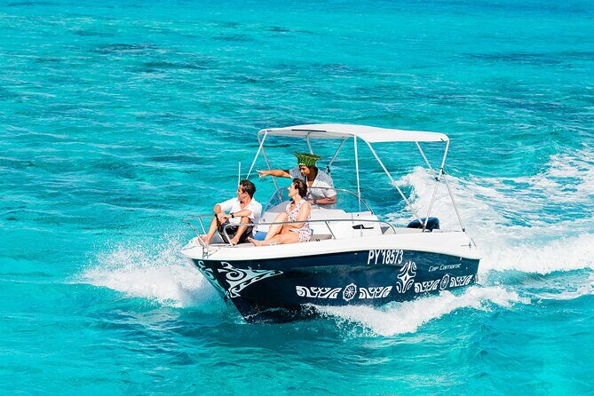 Private Tour: Bora Bora Whale Watching & Swimming Experience - Analyzing the Cost and Overall Value