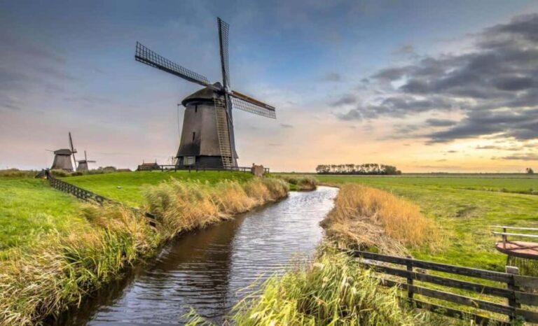 Private Tour from Amsterdam: Explore The North - What Travelers Say