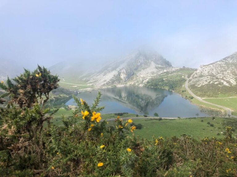 Private Tour from Oviedo to Covadonga and Europe Peaks lakes - What We Think Works Well