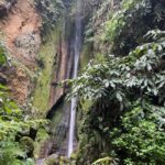 Private Tour Furnas: Furnas Lake Hike & Terra Nostra Park - Discovering Mata-Jardim José do Canto and a Hidden Waterfall