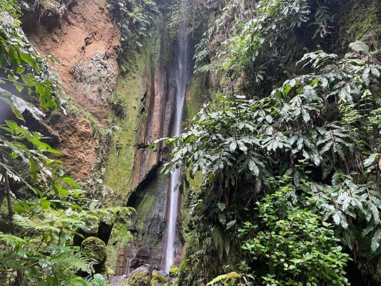 Private Tour Furnas: Furnas Lake Hike & Terra Nostra Park - Discovering Mata-Jardim José do Canto and a Hidden Waterfall
