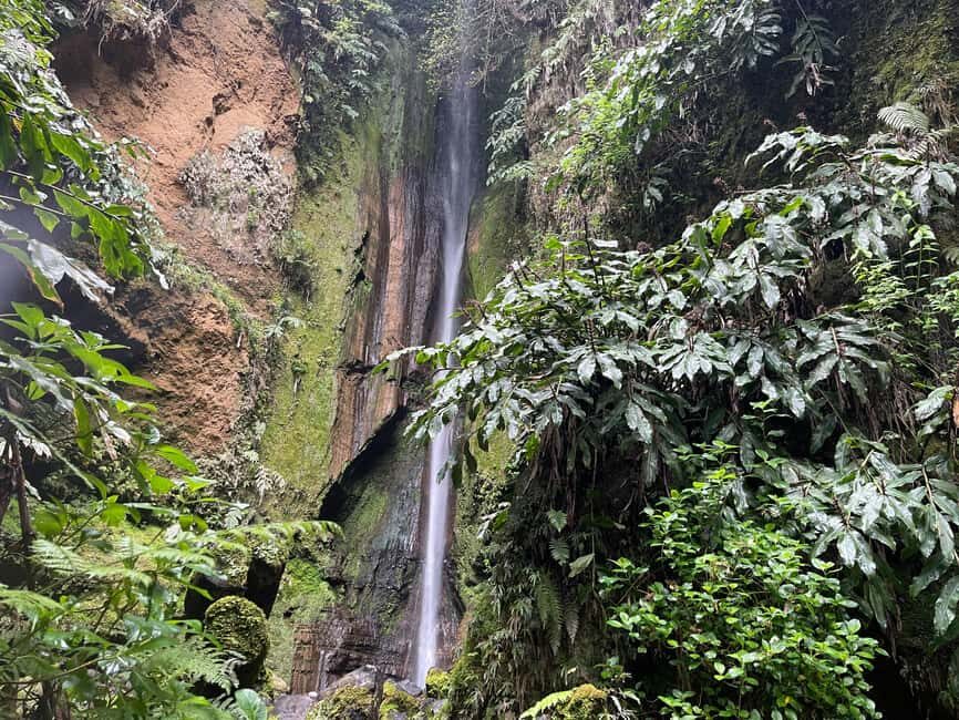 Private Tour Furnas: Furnas Lake Hike & Terra Nostra Park - Discovering Mata-Jardim José do Canto and a Hidden Waterfall